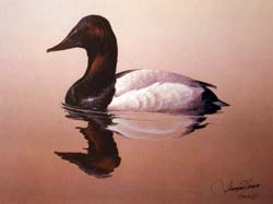 Phillip Crowe at the Orange Poppy Art Gallery